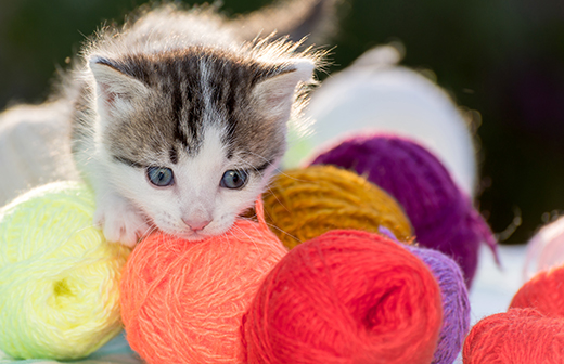 Morin - Accessoires et activités les plus adaptés au développement des ...